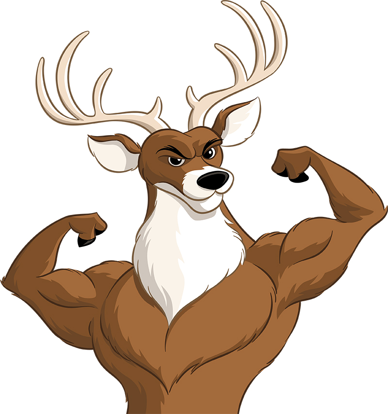 Deer for Spypoint FLEX - CEDRIC HOHNSTADT ILLUSTRATION